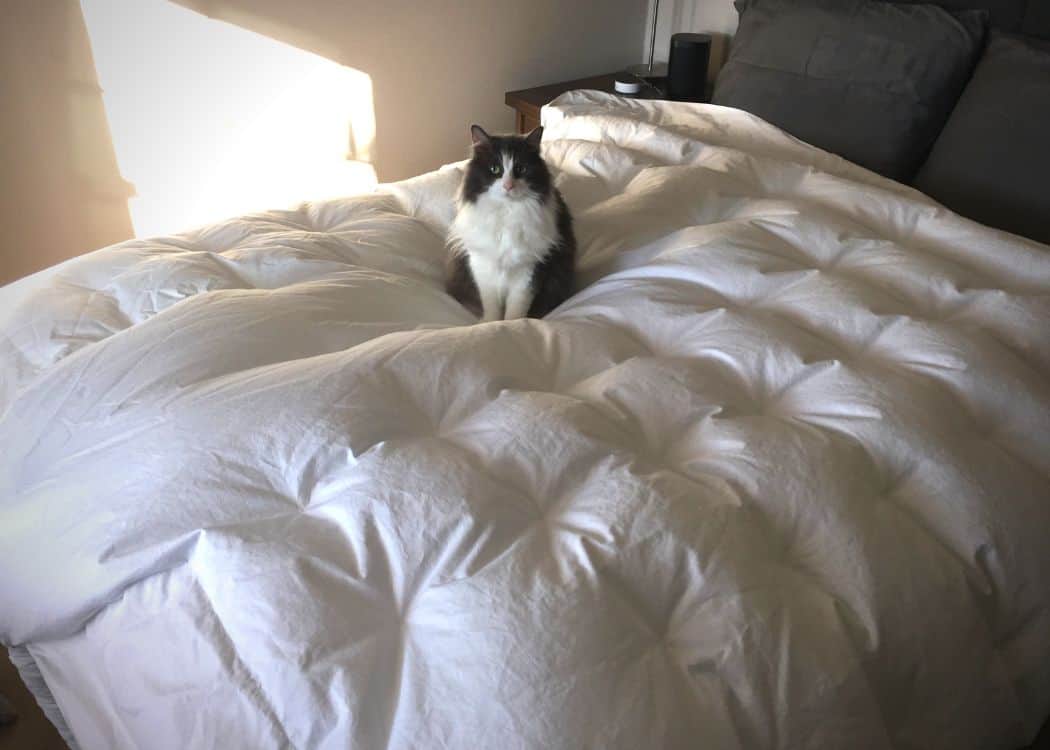 BedJet 3.0 Rapid Cooling & Warming System For Your Bed – Comfort Sleep ...